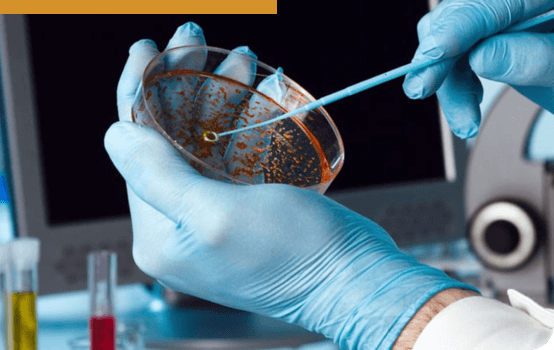 Inspired by Nature, Powered by Science - Impact Biomedical, Inc.